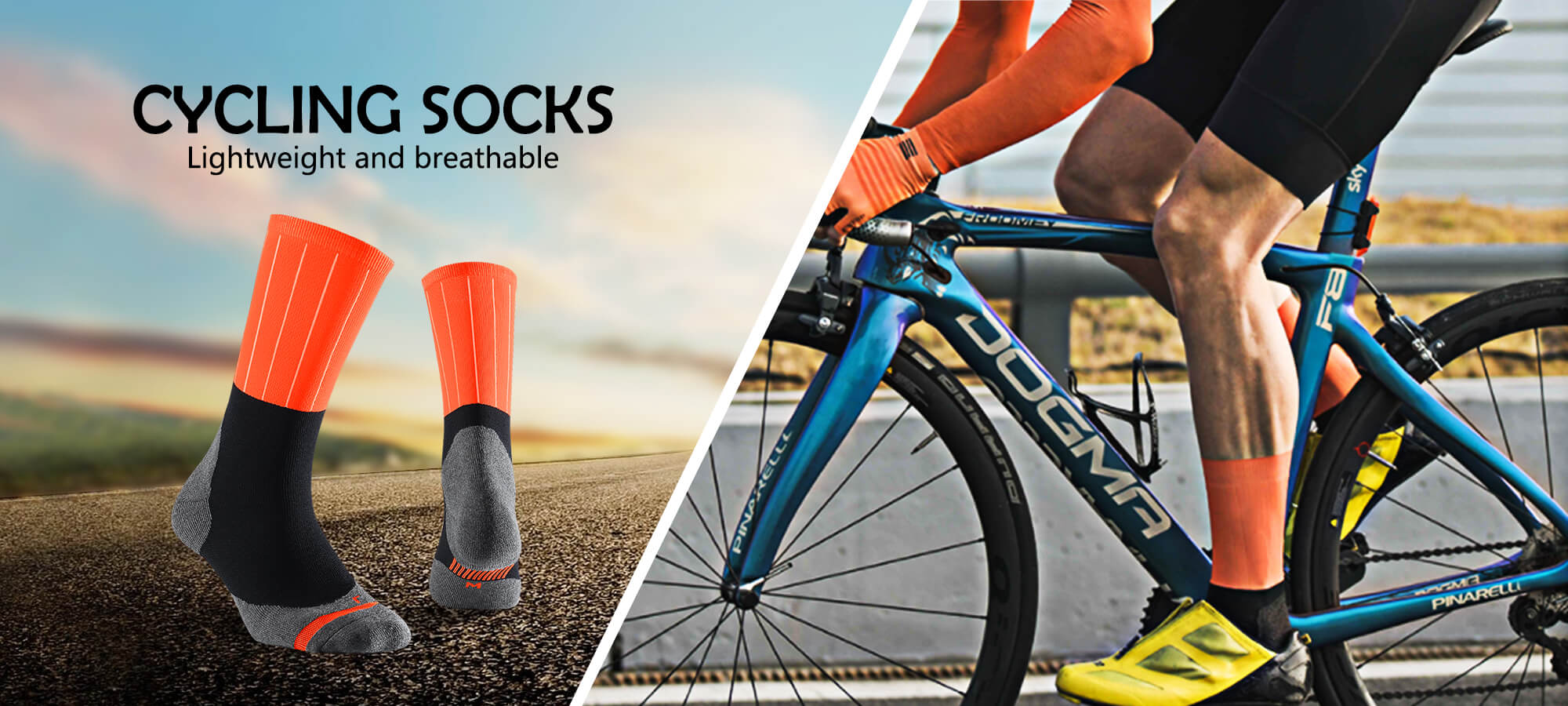 Wander Group -Cotton Socks
